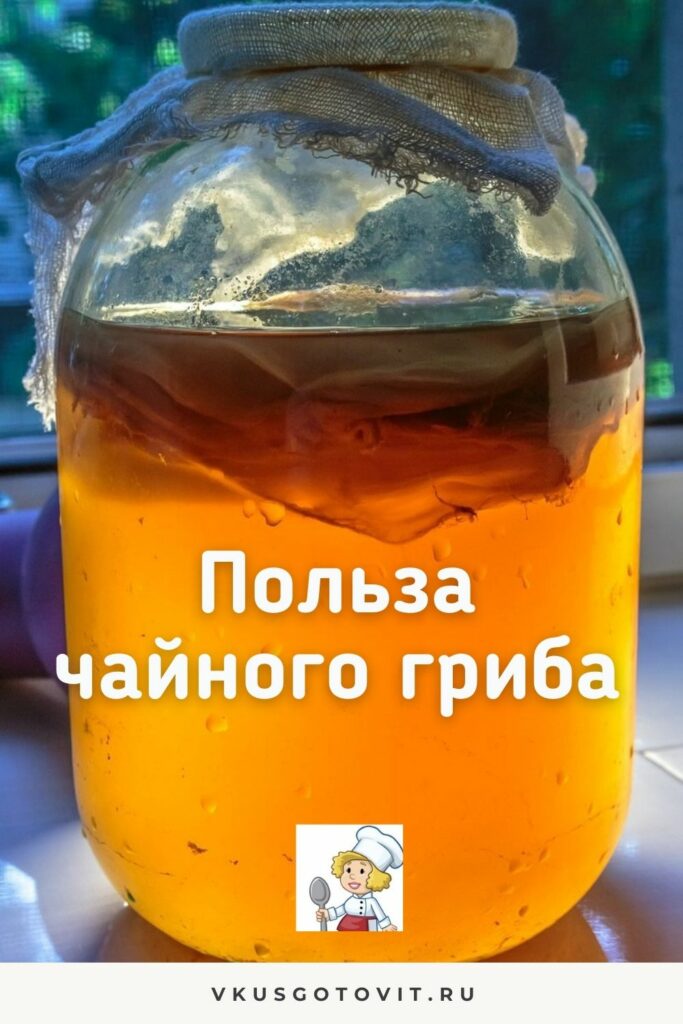 Польза чайного гриба для организма - Готовим вкусно